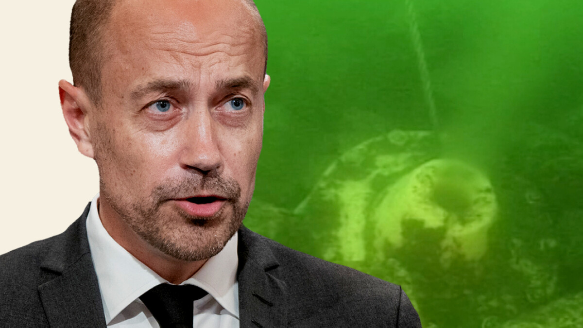 Miljøminister kaldte retningslinjer for en 'opstramning': Men ...