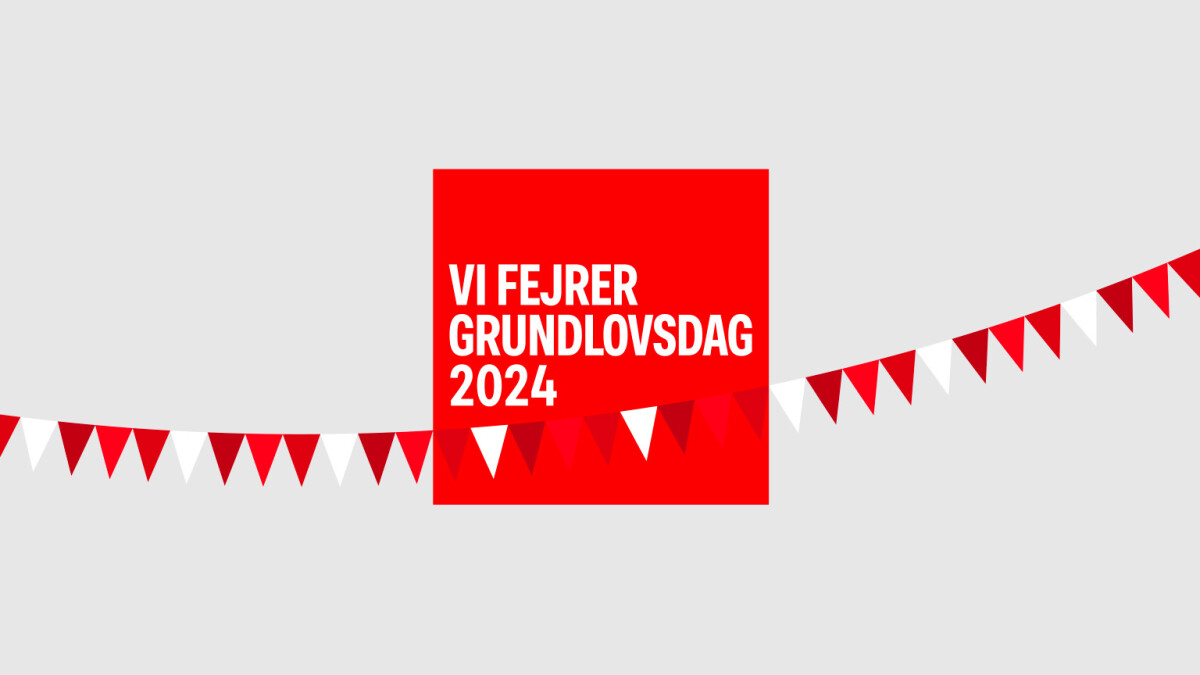 Vi fejrer grundlovsdag | Tema og events | DR