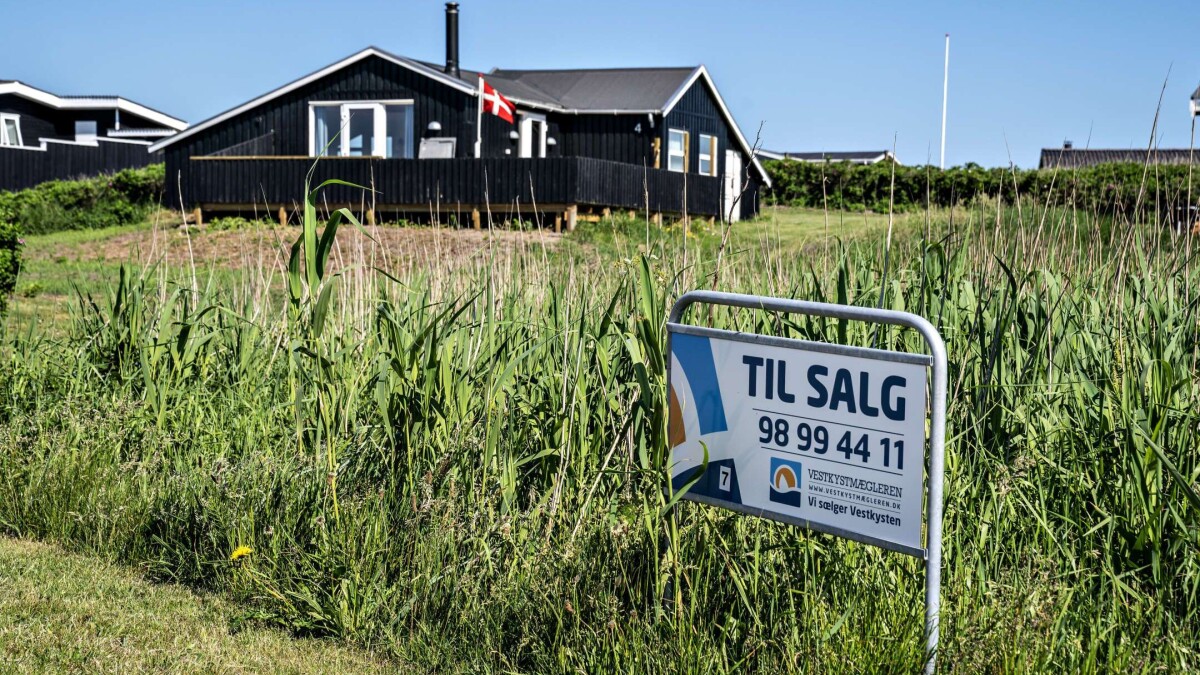 Vismænd spår guldregn over boligejere: Huse vil i snit stige 800.000 kroner | Penge | DR