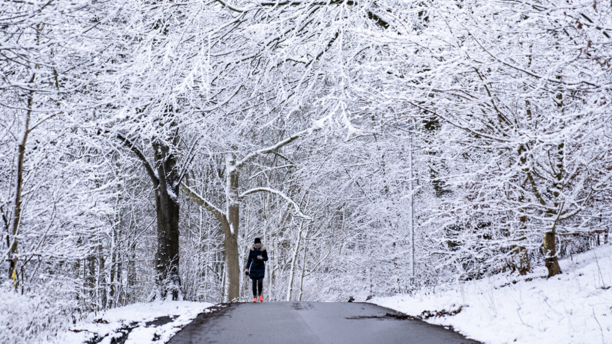 Hvorfor er det så svært at forudsige sne i Danmark? | Vejret | DR