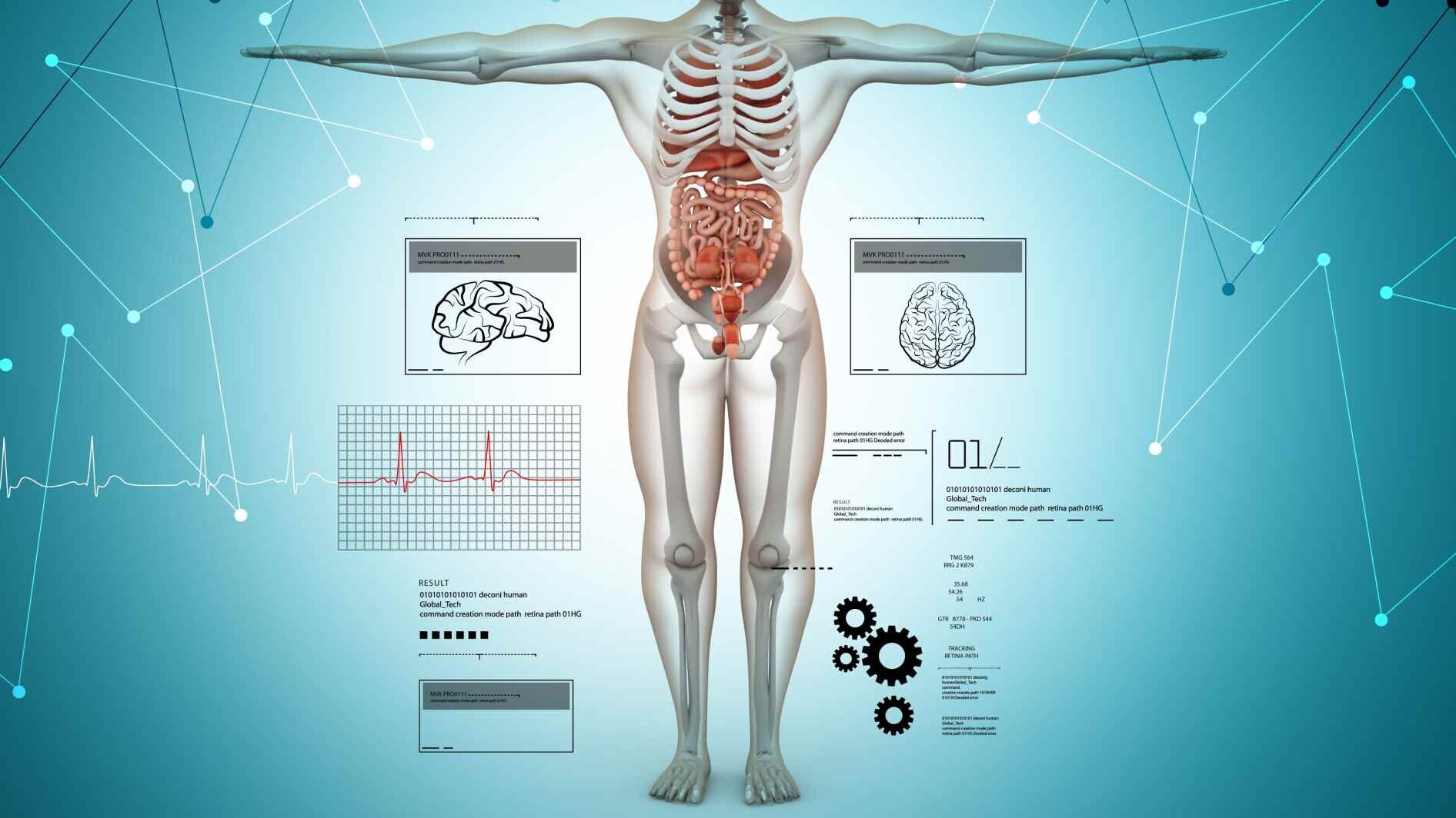 Din geniale krop | DR